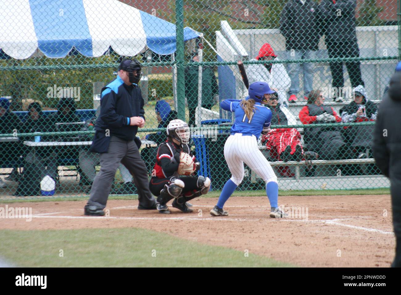 St louis university softball hi-res stock photography and images - Alamy