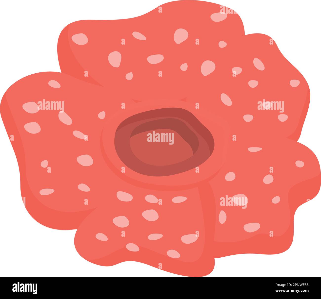 Red rafflesia icon cartoon vector. Flower tropical. Drawing asia Stock ...