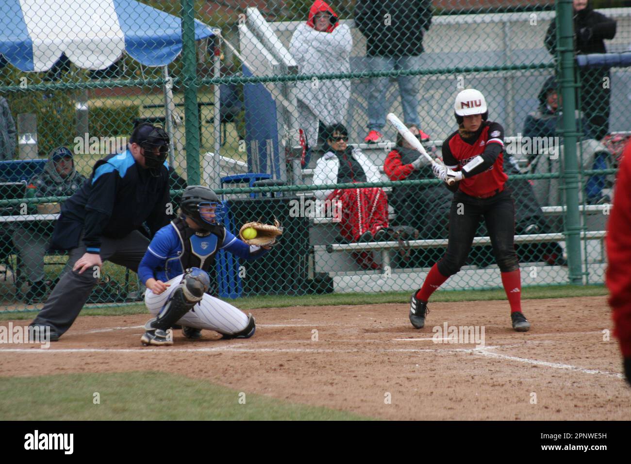 St louis university softball hi-res stock photography and images - Alamy