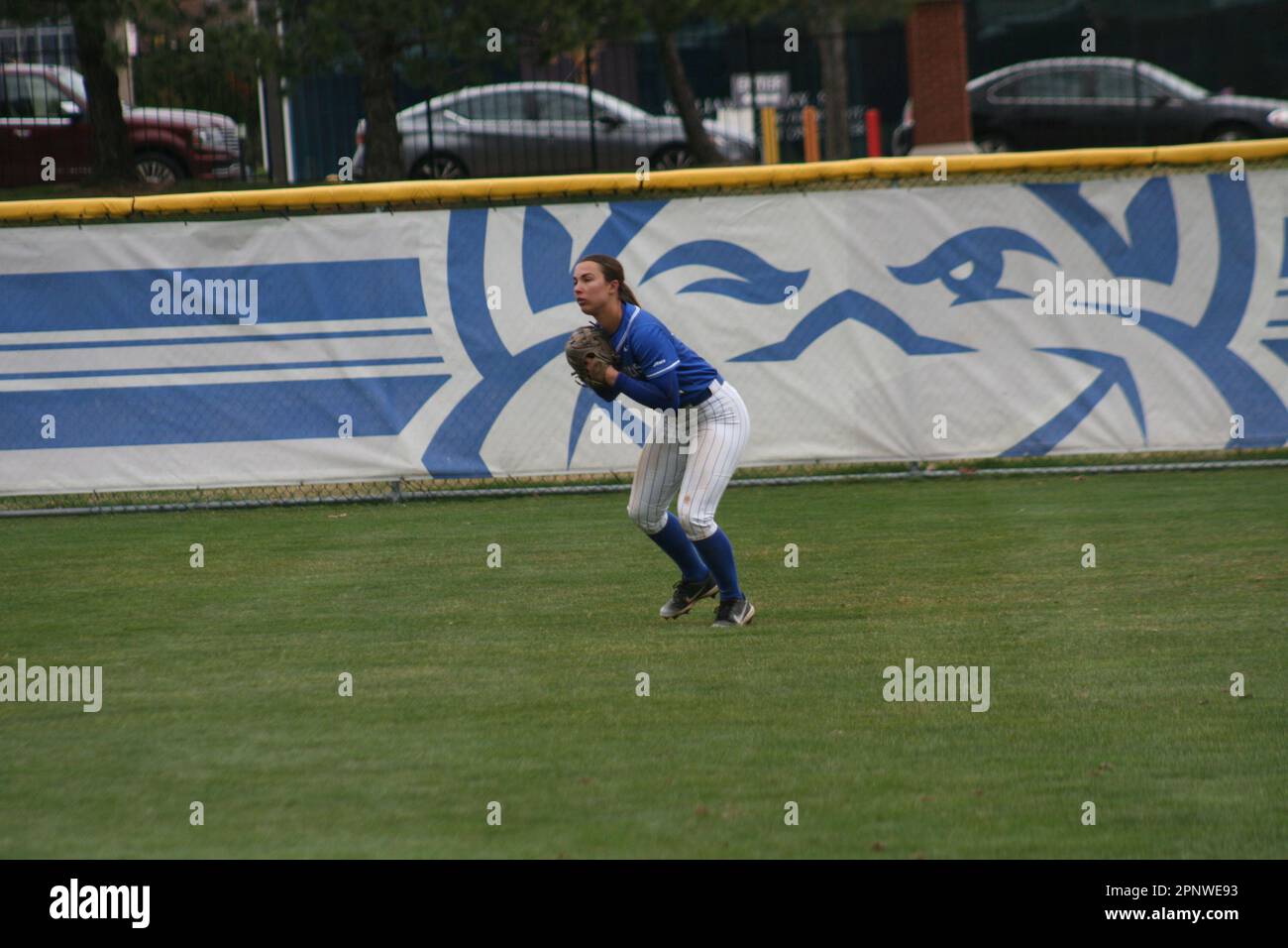 St louis university softball hi-res stock photography and images - Alamy