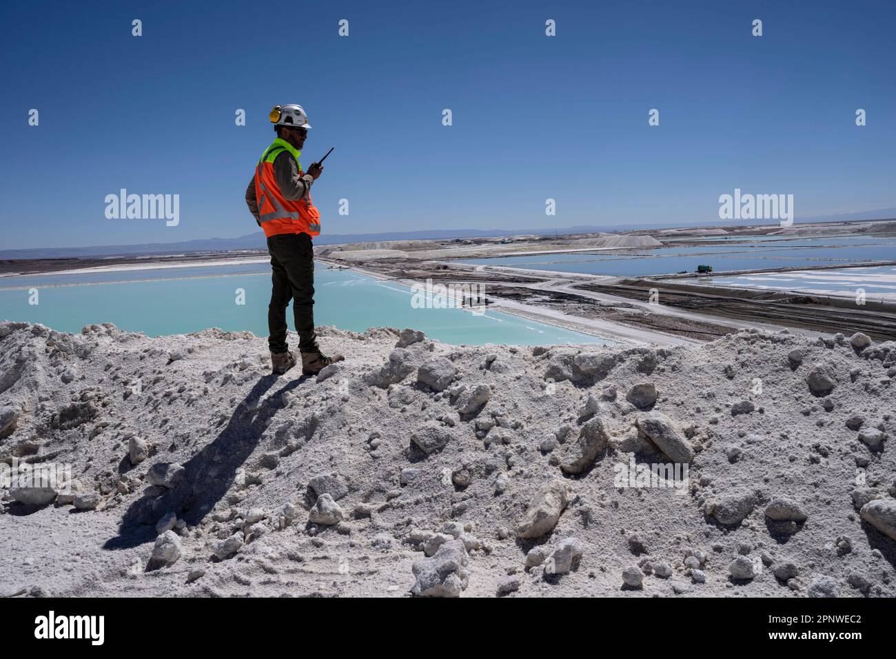 A worker at the Albemarle lithium mine looks out over pools of lithium ...