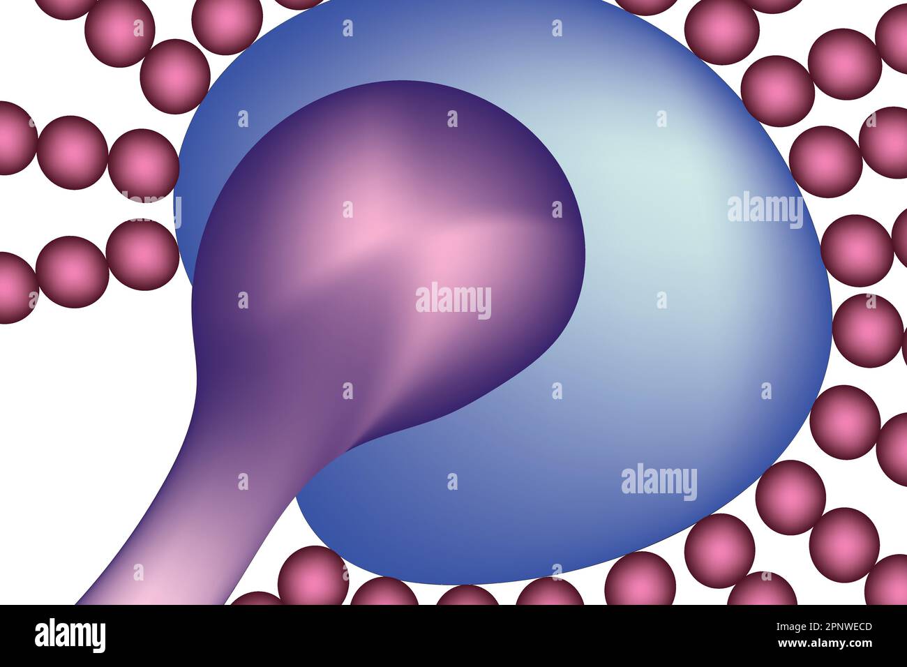 Engraving reproduction Stock Vector Images - Alamy