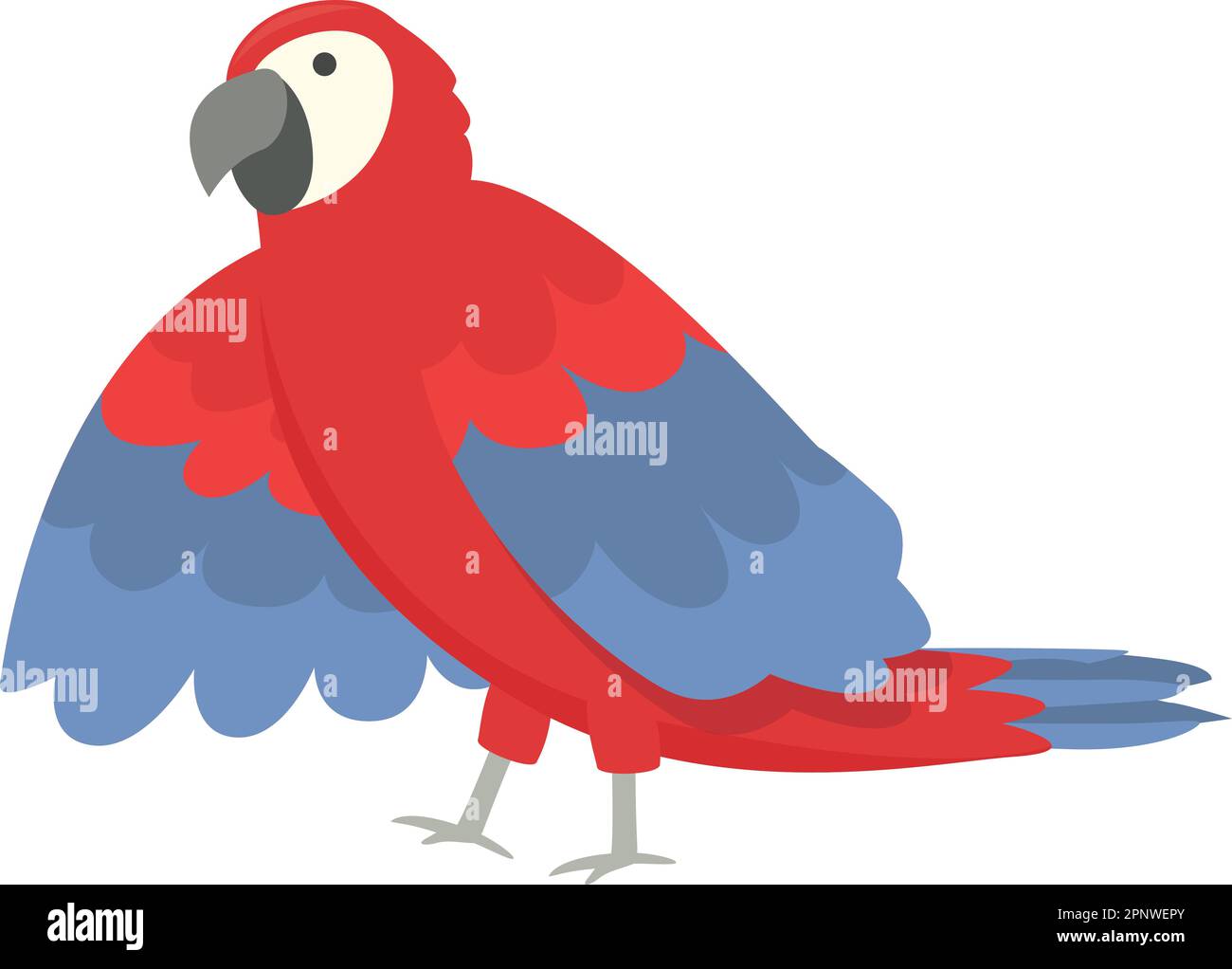 Zoo macaw icon cartoon vector. Tropical bird. Nature jungle Stock ...