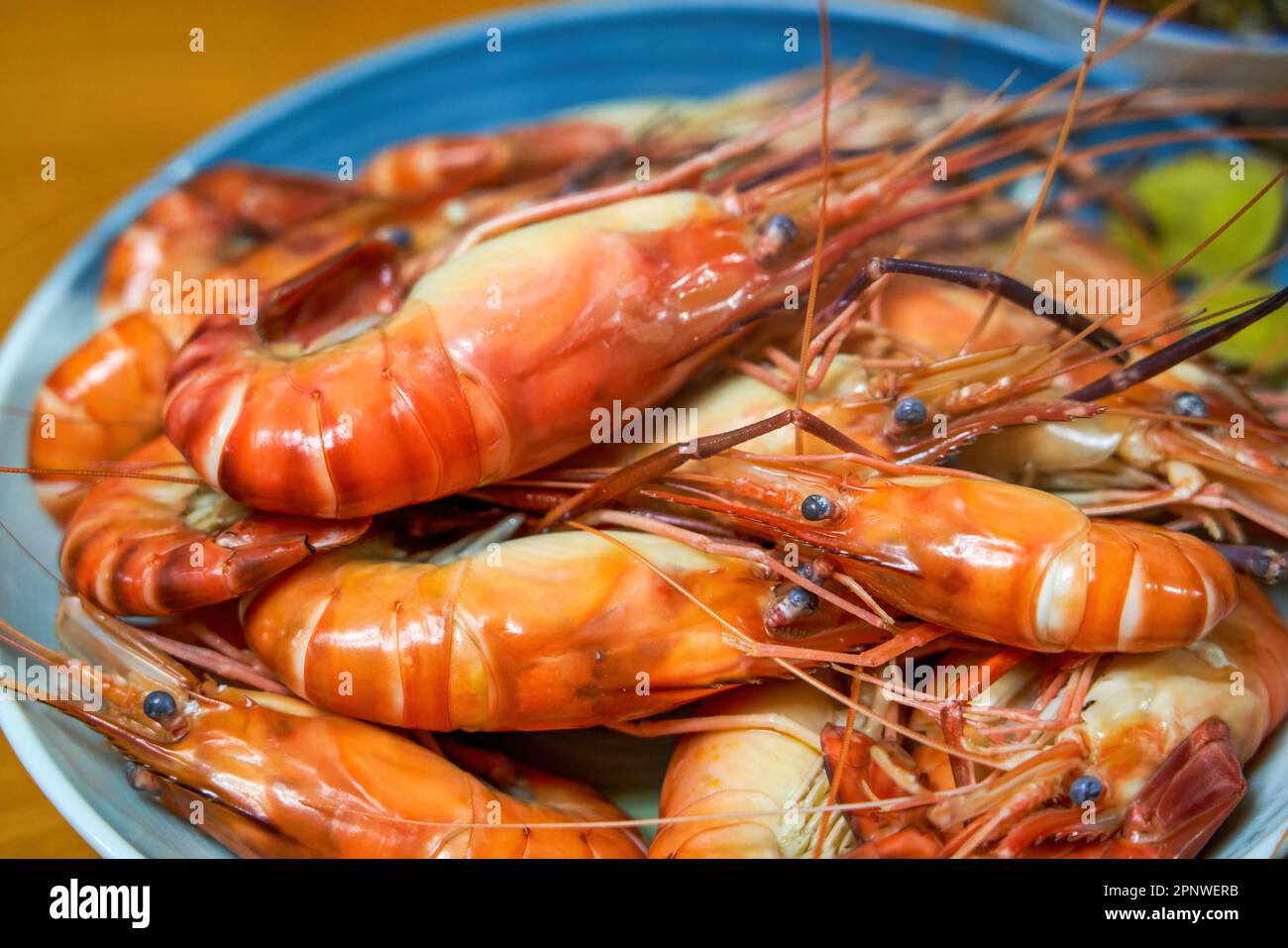 Fresh and plump boiled Roche prawns Stock Photo - Alamy