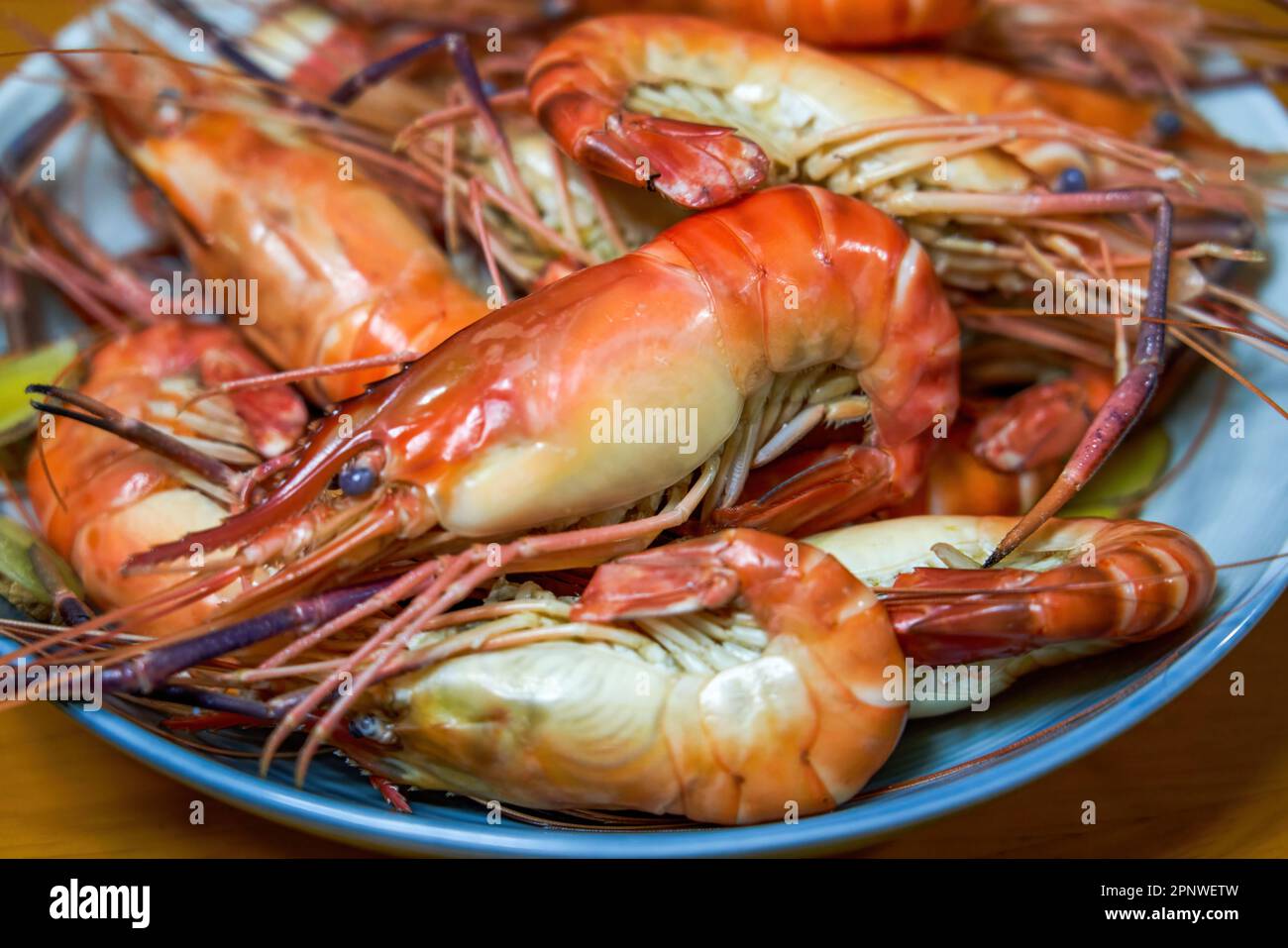 Tiger roche hi-res stock photography and images - Alamy