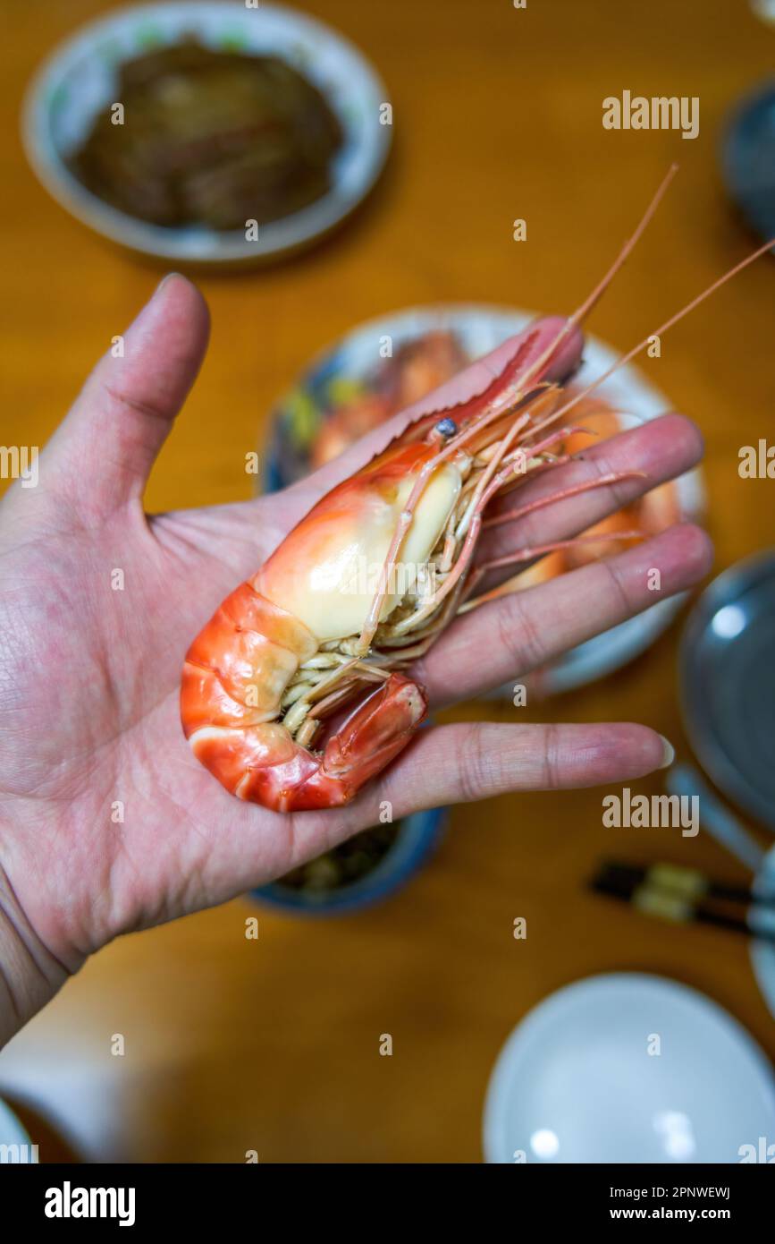 Roche shrimp hi-res stock photography and images - Alamy