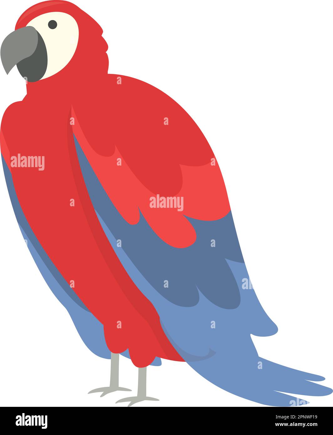 Cute macaw icon cartoon vector. Parrot bird. Nature jungle Stock Vector ...