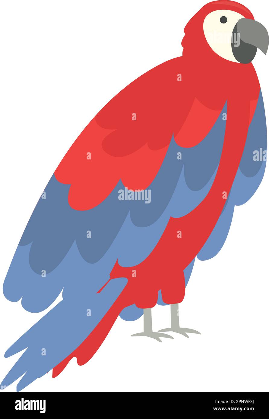 Cute macaw icon cartoon vector. Bird parrot. Nature macaw Stock Vector ...