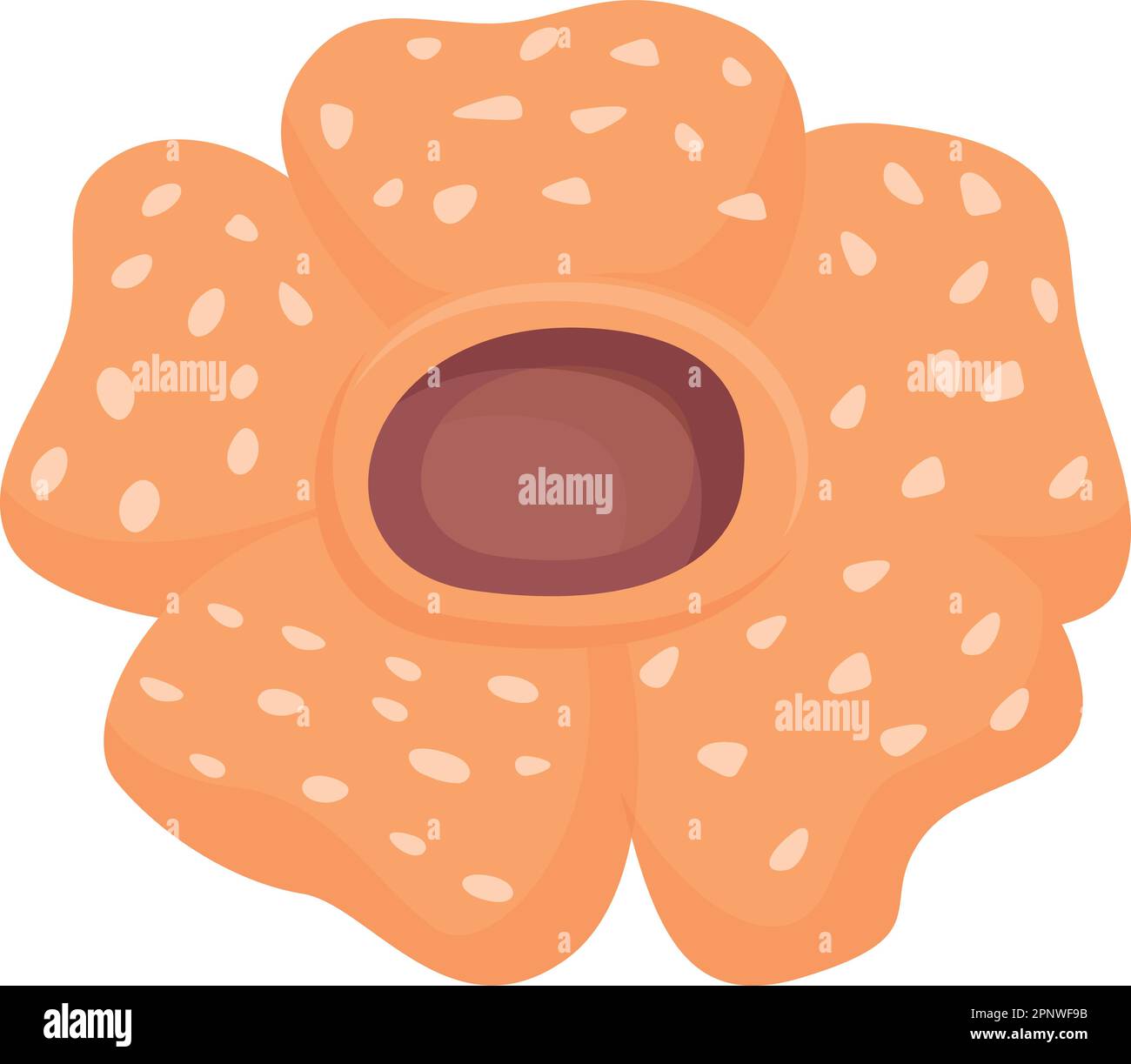 Rafflesia Flower Cartoon