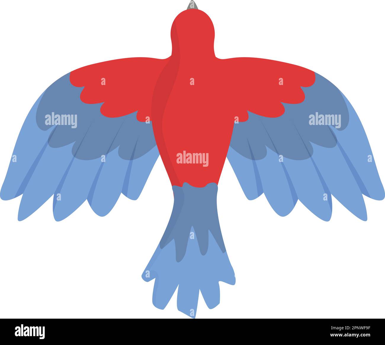 Macaw top view icon cartoon vector. Bird parrot. Nature jungle Stock ...