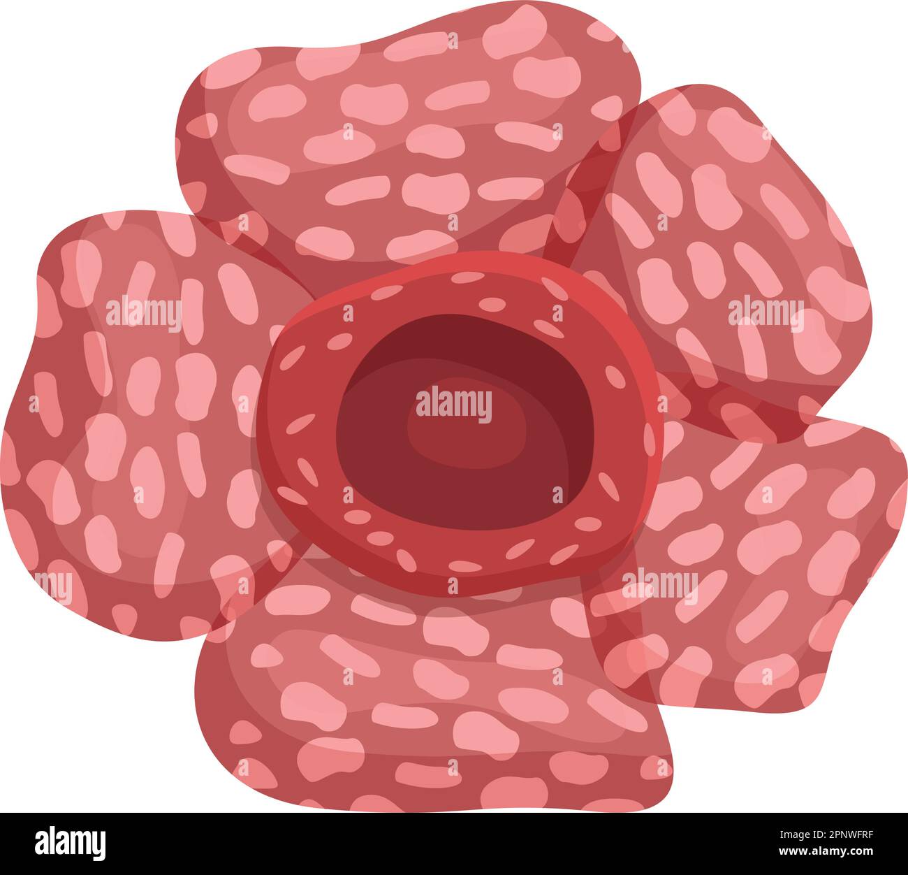 Dotted flower icon cartoon vector. Red flower. Arnoldii botanical Stock ... Dotted flower icon cartoon vector. Red flower. Arnoldii botanical Stock ...