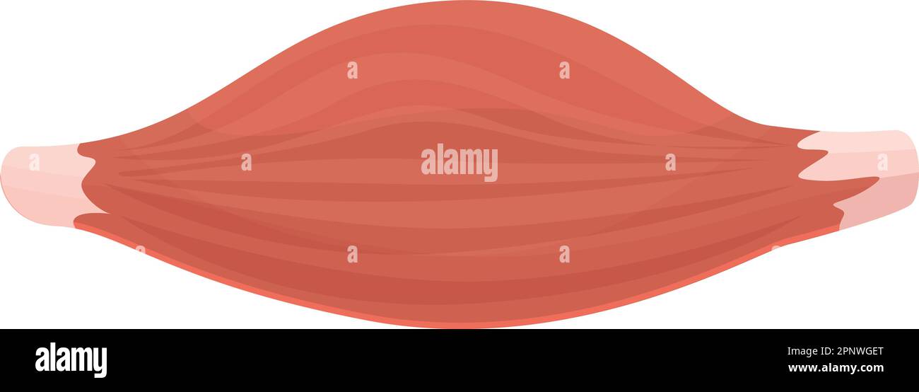 Flex bicep icon cartoon vector. Strong arm. Fiber body Stock Vector ...