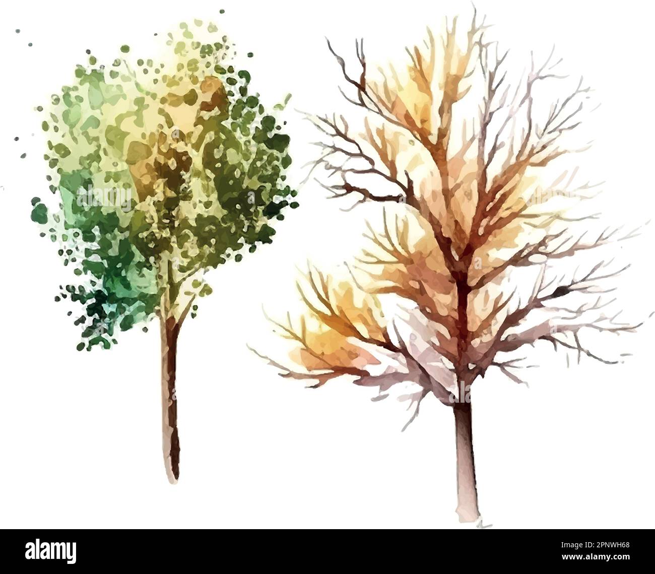 Watercolor tree hand draw vector nature painting Stock Vector Image ...