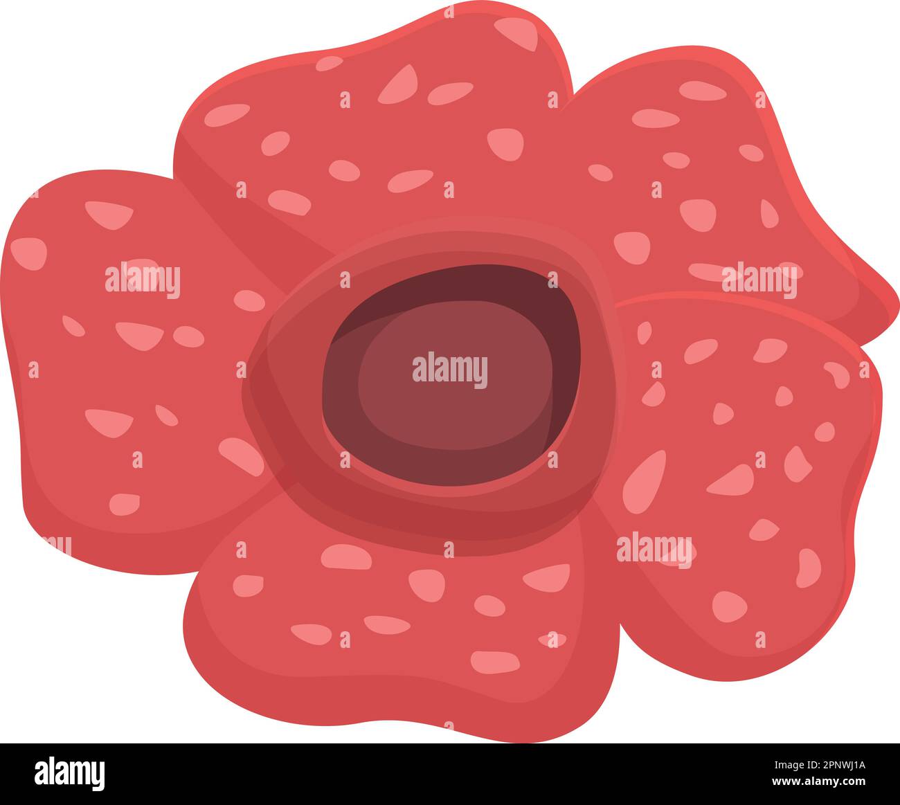 Rafflesia Flower Clipart