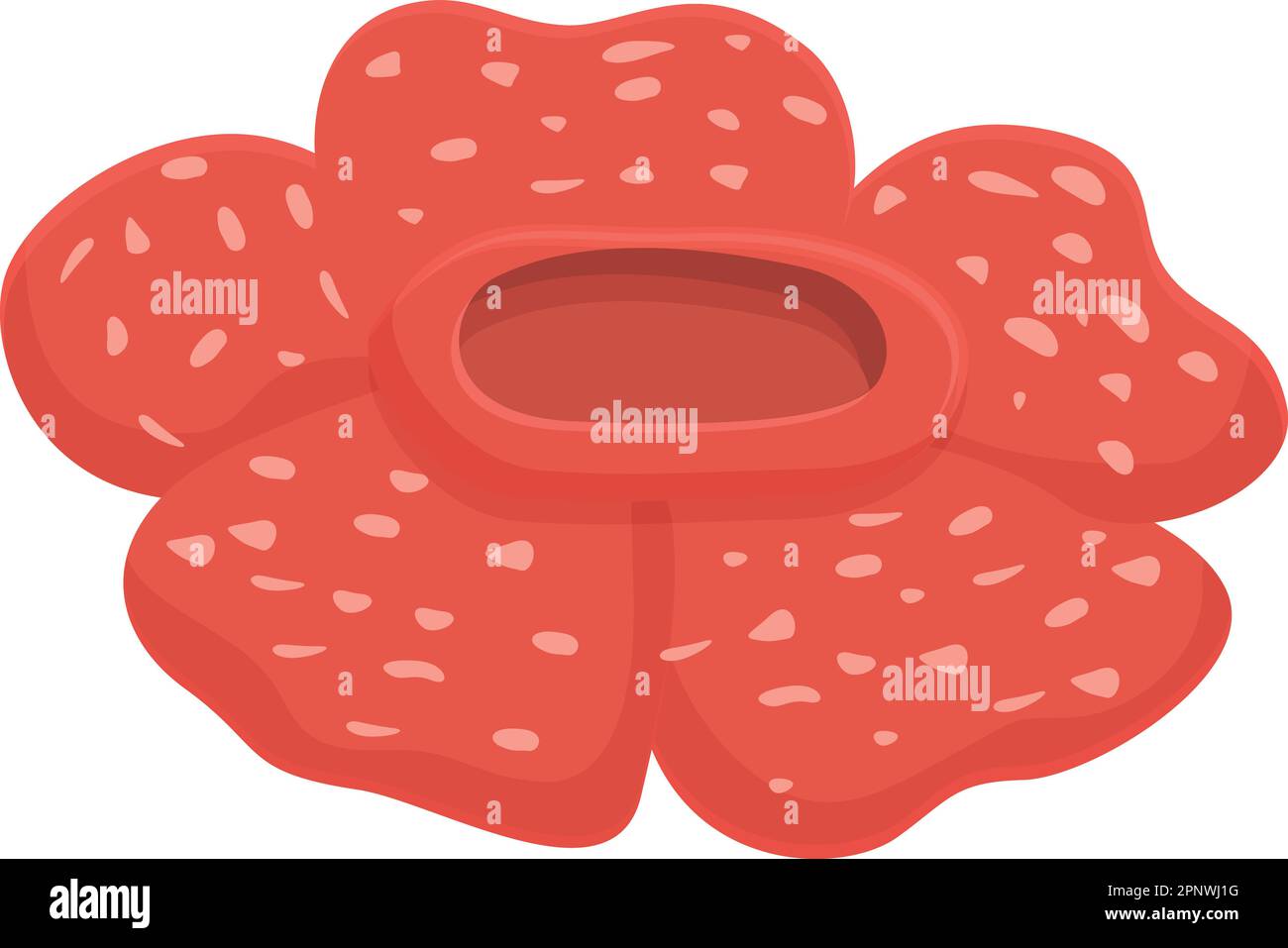 Petals rafflesia icon cartoon vector. Flower forest. Asian world Stock ...