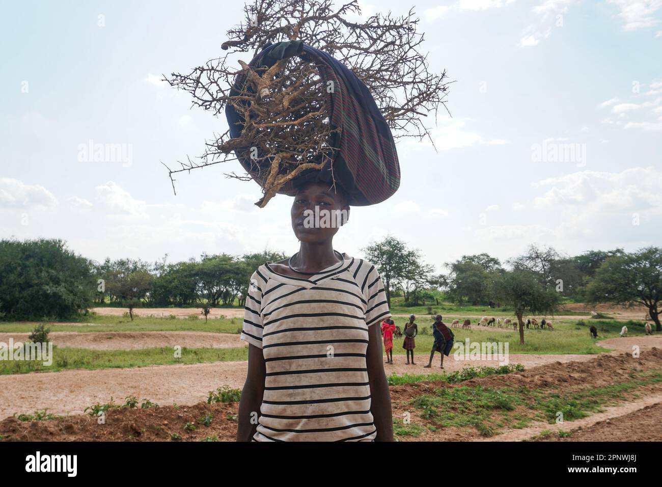 Thorny fence hi-res stock photography and images - Alamy