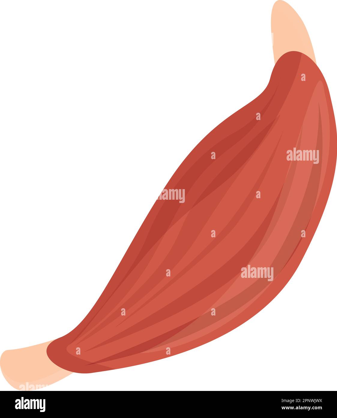 Hand bicep icon cartoon vector. Strong muscular. Flex body Stock Vector ...