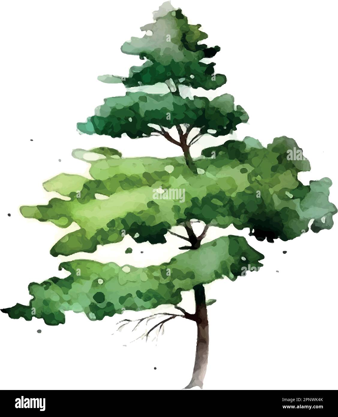 Watercolor tree hand draw vector nature painting Stock Vector Image ...