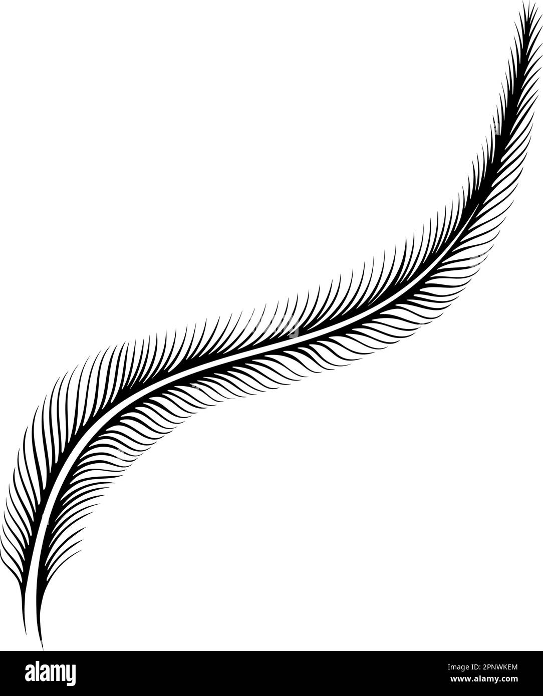 Long quill Stock Vector Images - Alamy