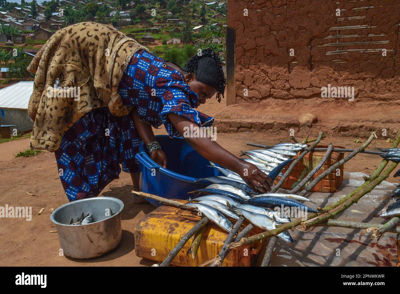 Kahambu Taheruka washes horse mackerel in Kikimba, Kirumba, Democratic ...