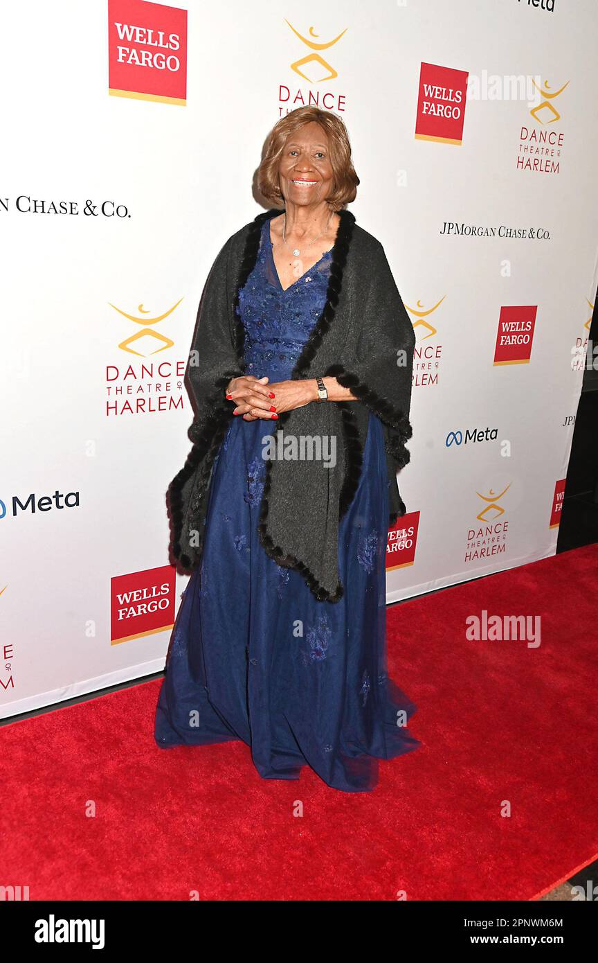 Hazel Dukes attends The Dance Theatre of Harlem Vision Gala at New York ...