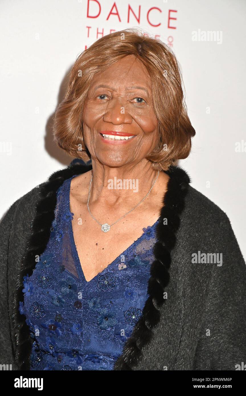 Hazel Dukes attends The Dance Theatre of Harlem Vision Gala at New York ...
