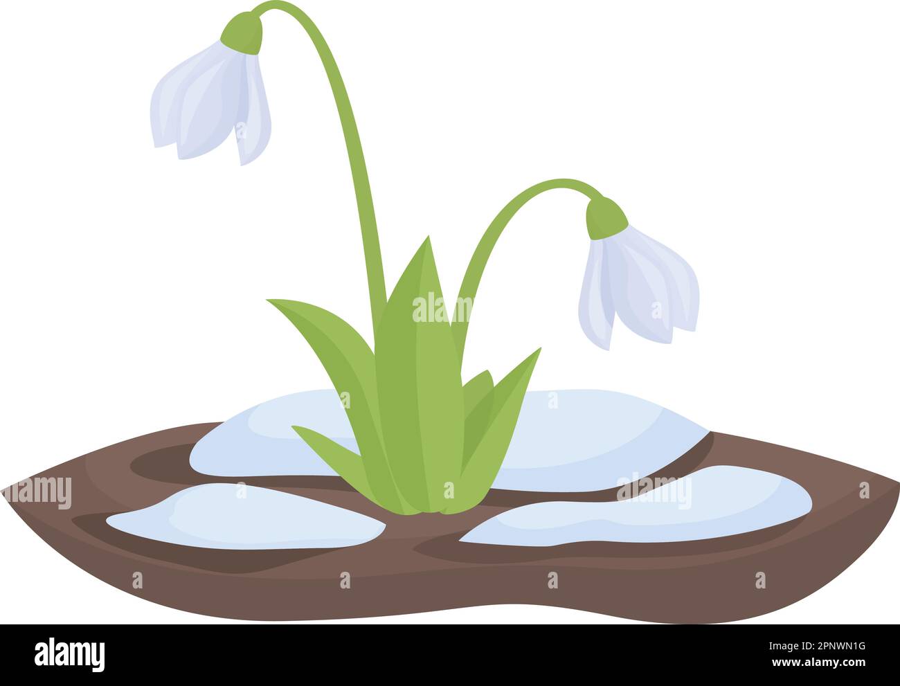 Snowdrop branch icon cartoon vector. Spring flower. Petal flora Stock ...