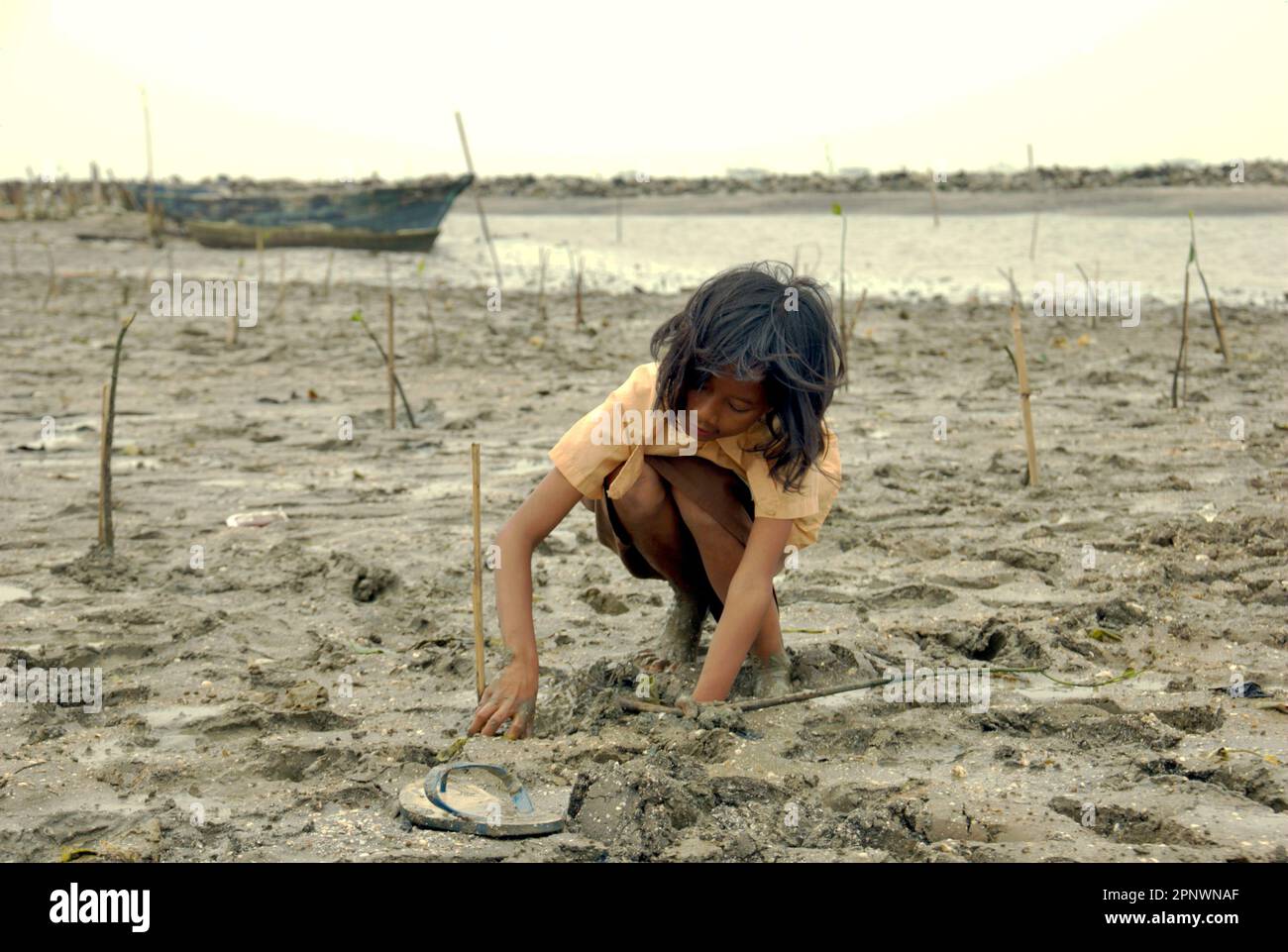 A child is planting a mangrove tree in Jakarta coastal area during a ...