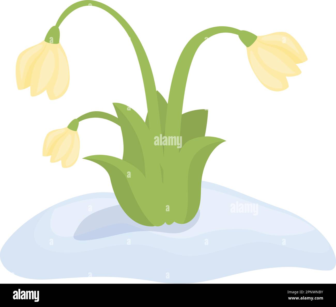 Yellow snowdrop icon cartoon vector. Spring flower. Flora bloom Stock ...