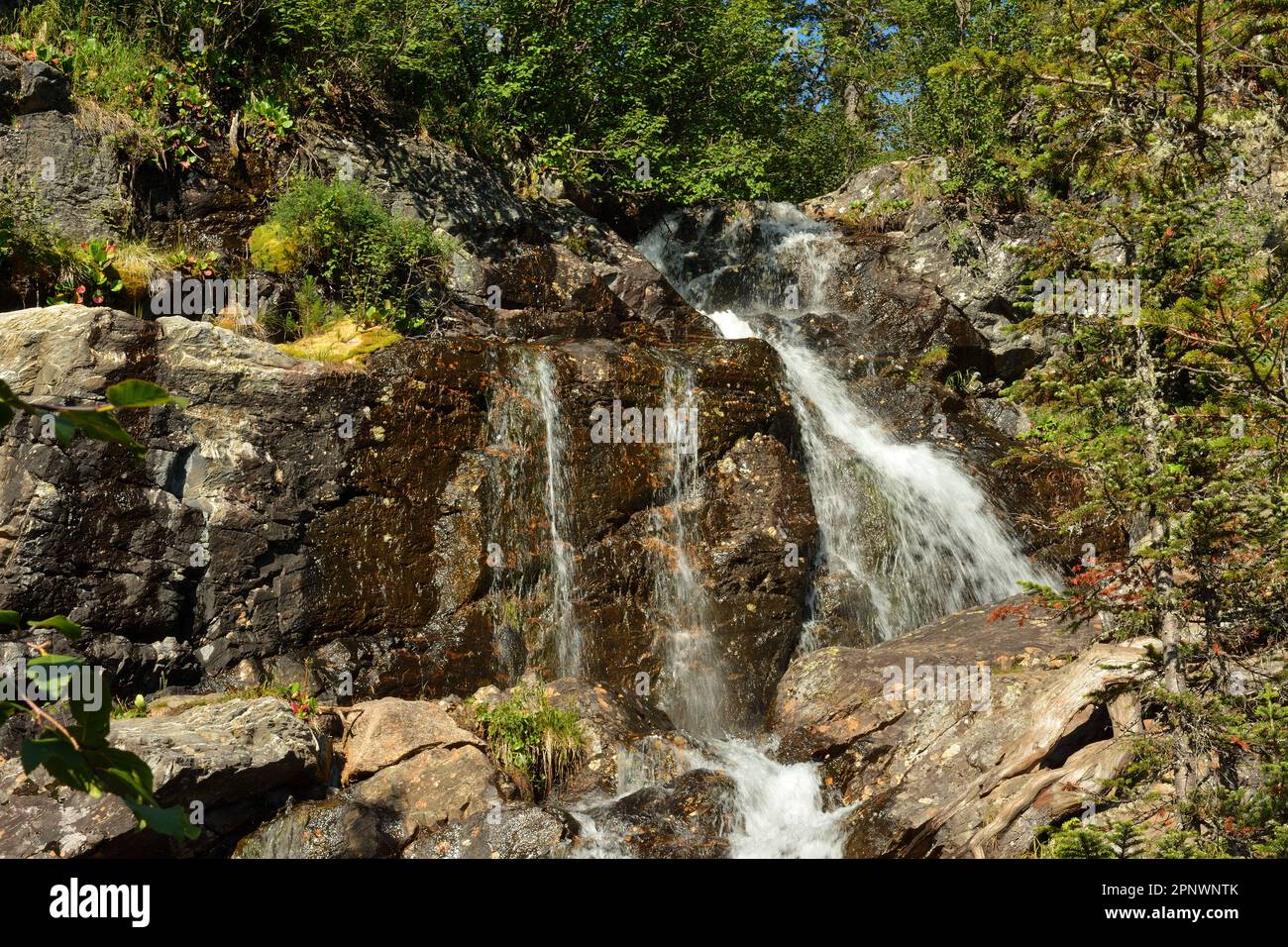 A stormy stream cascades from stone ledges with thickets of bushes on a ...