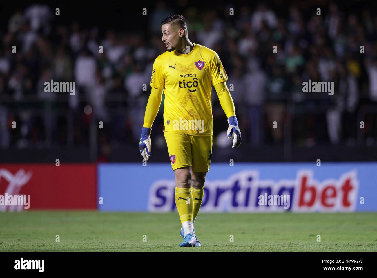 SP - SAO PAULO - 04/20/2023 - LIBERTADORES 2023, PALMEIRAS X CERRO ...