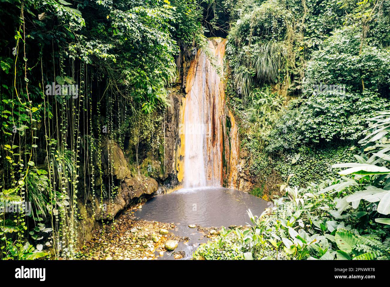 Diamond Falls at St. Lucia's Diamond Botanical Garden in Soufriere ...