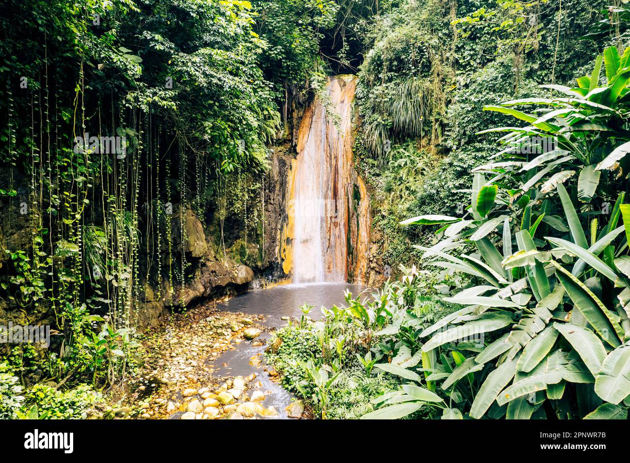 Diamond Falls at St. Lucia's Diamond Botanical Garden in Soufriere ...