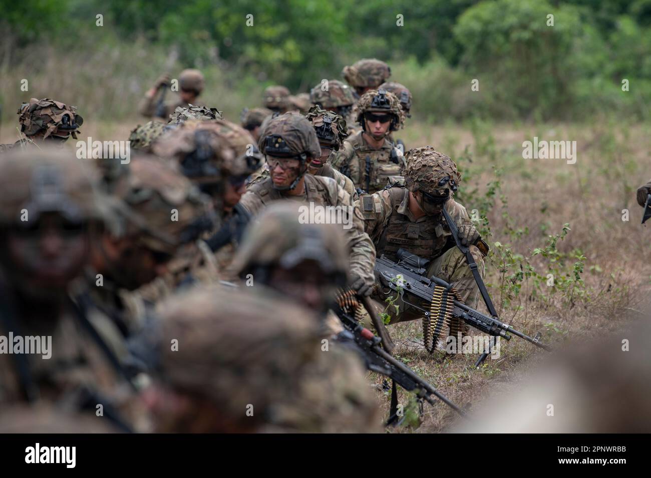 U.S. Army Soldiers, with 25th Infantry Division, conduct a jungle ...