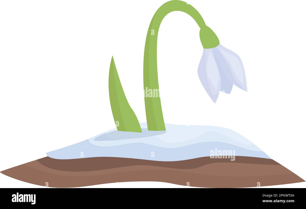 Snowdrop flower icon cartoon vector. Snow spring. Art grass Stock ...
