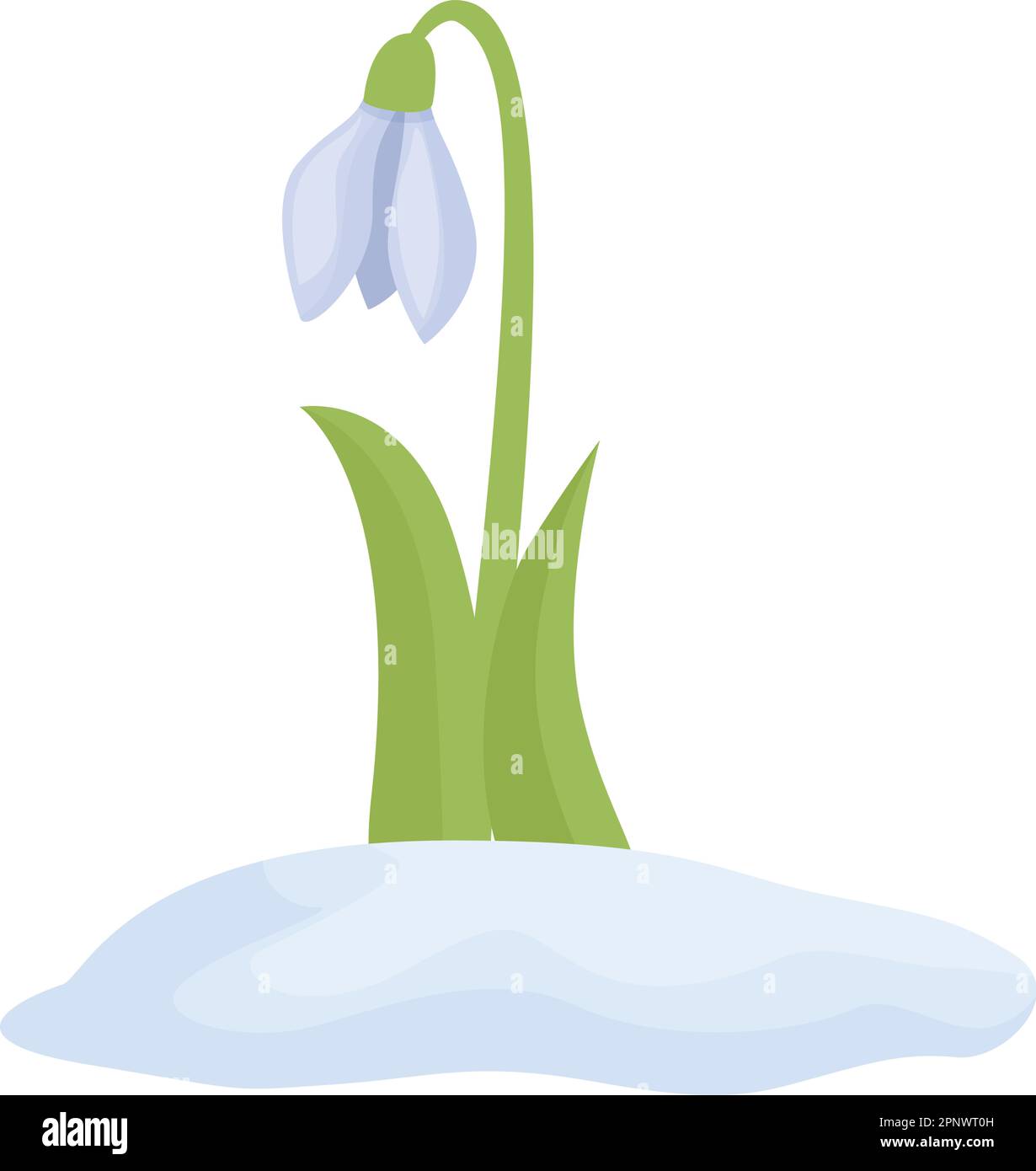 Snowdrop bloom icon cartoon vector. Snow flower. Flora leaf Stock ...