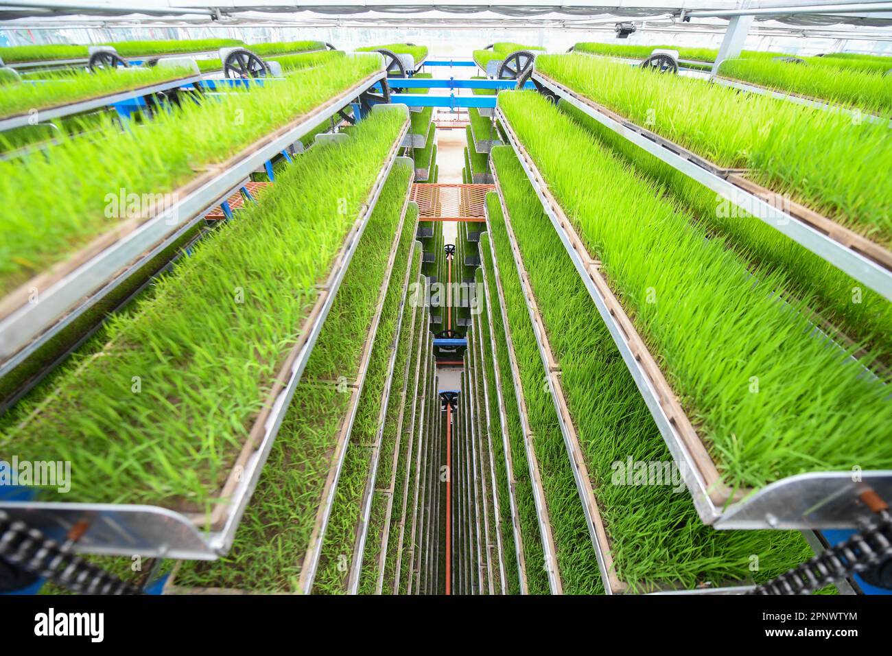 Pengshan. 20th Apr, 2023. This photo taken on April 20, 2023 shows an ...