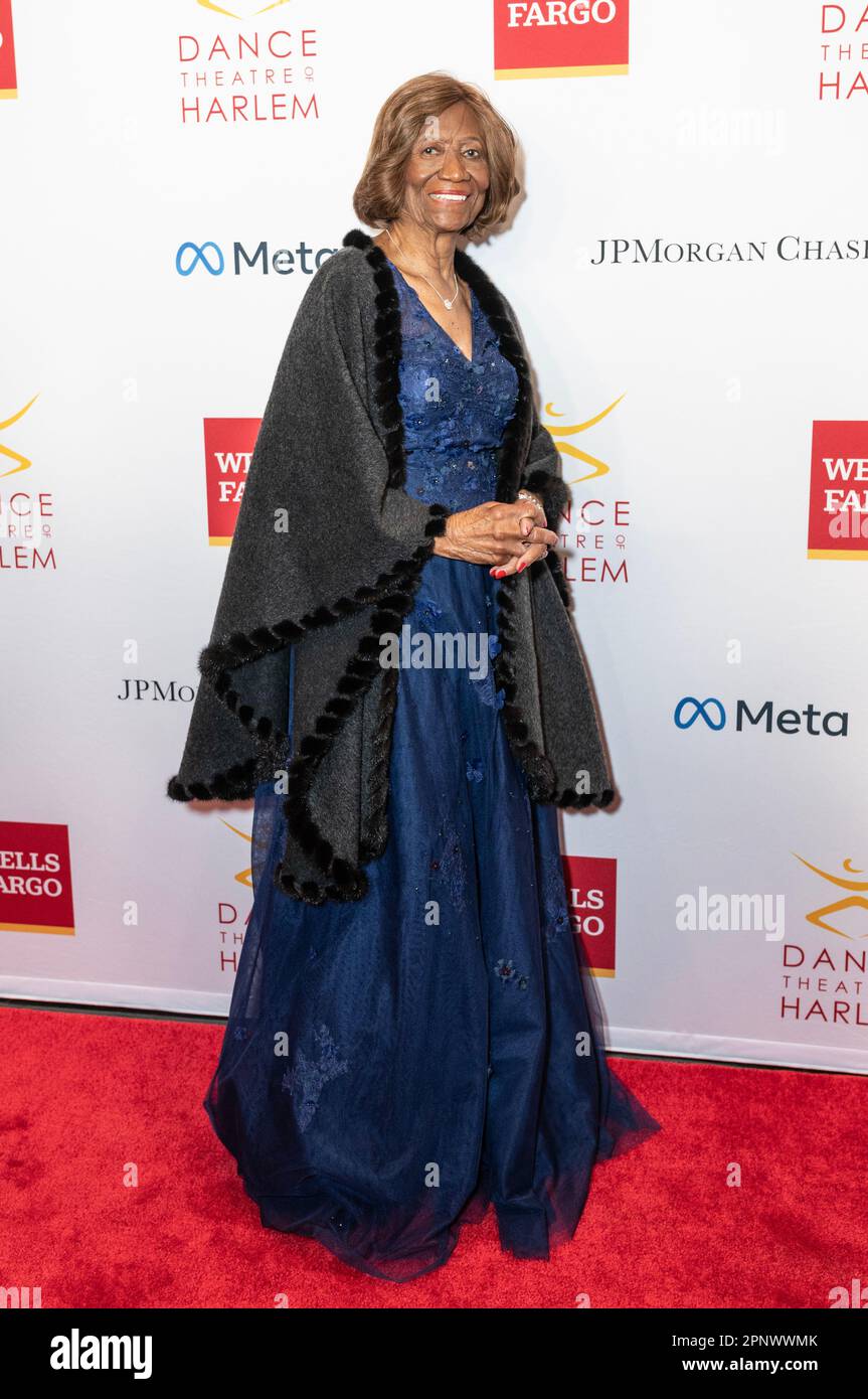 Hazel Dukes attends Dance Theatre of Harlem Vision Gala at New York ...