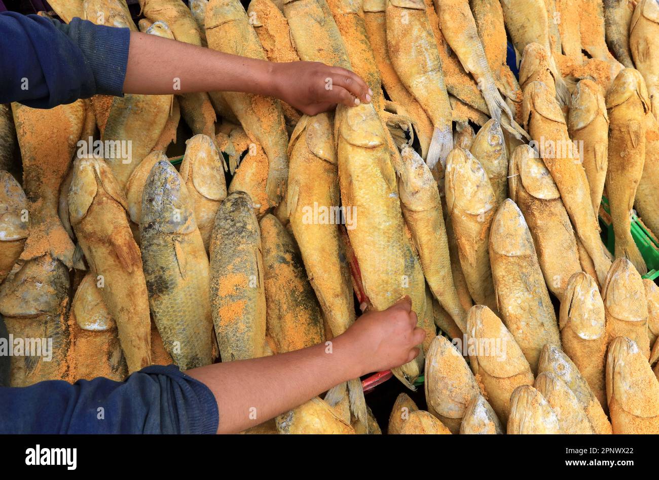 Vendorization hi-res stock photography and images - Alamy