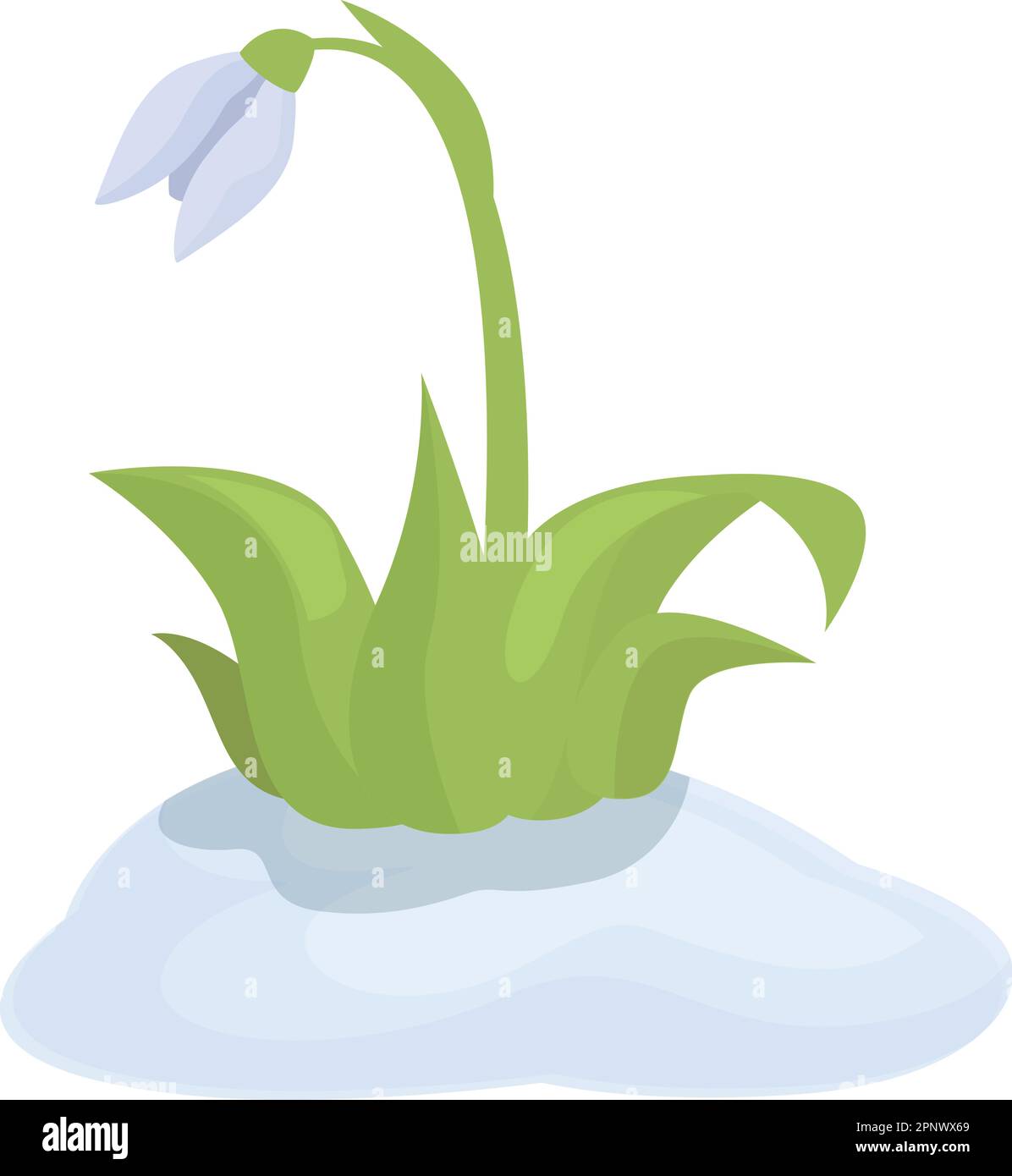 Snowdrop plant icon cartoon vector. Spring flower. Petal blossom Stock ...