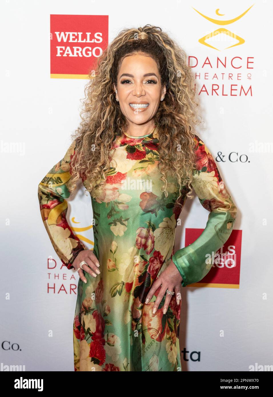 Sunny Hostin wearing dress by Zimmermann attends Dance Theatre of ...