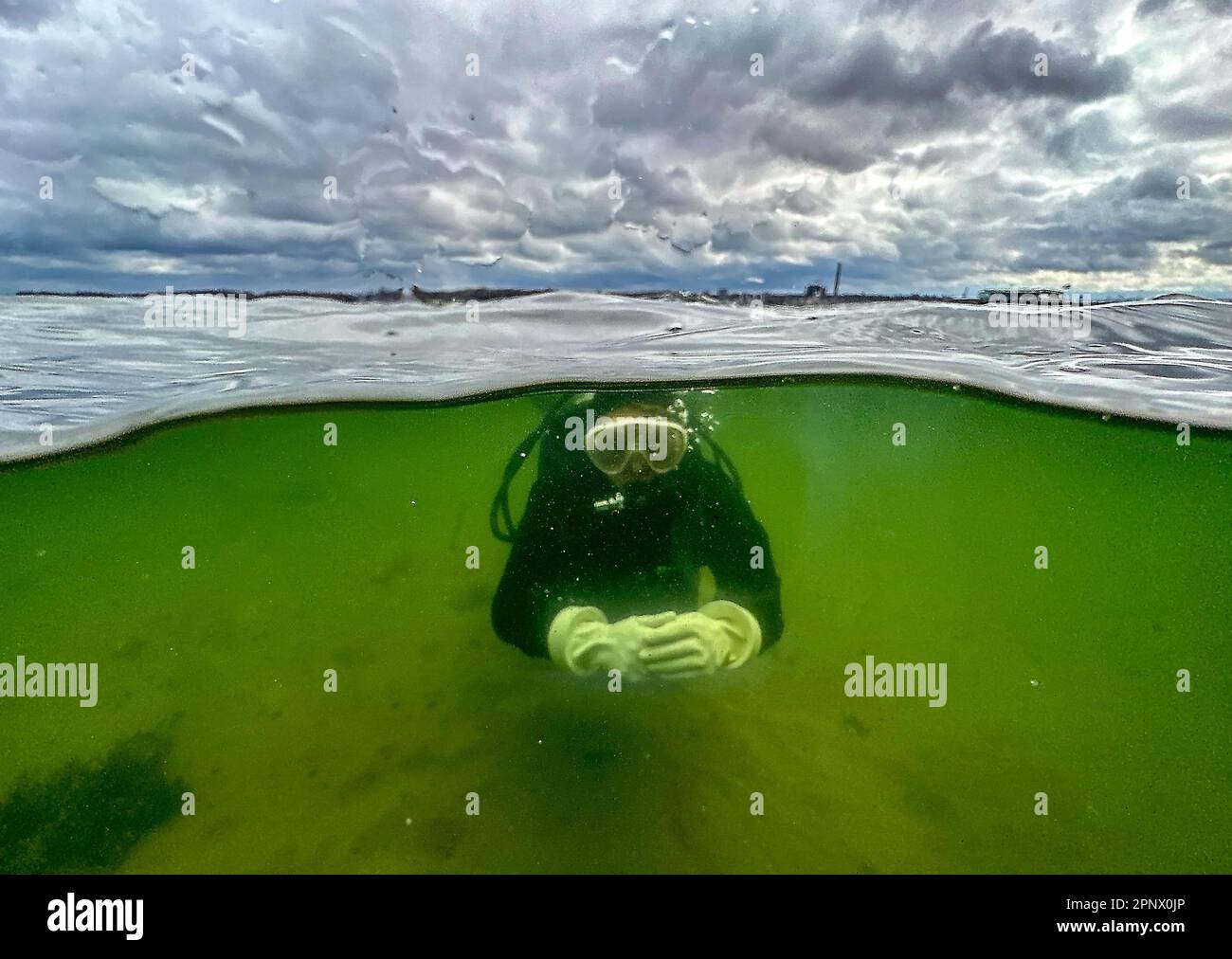 Kiel, Germany. 13th Apr, 2023. Australian marine biologist Angela ...