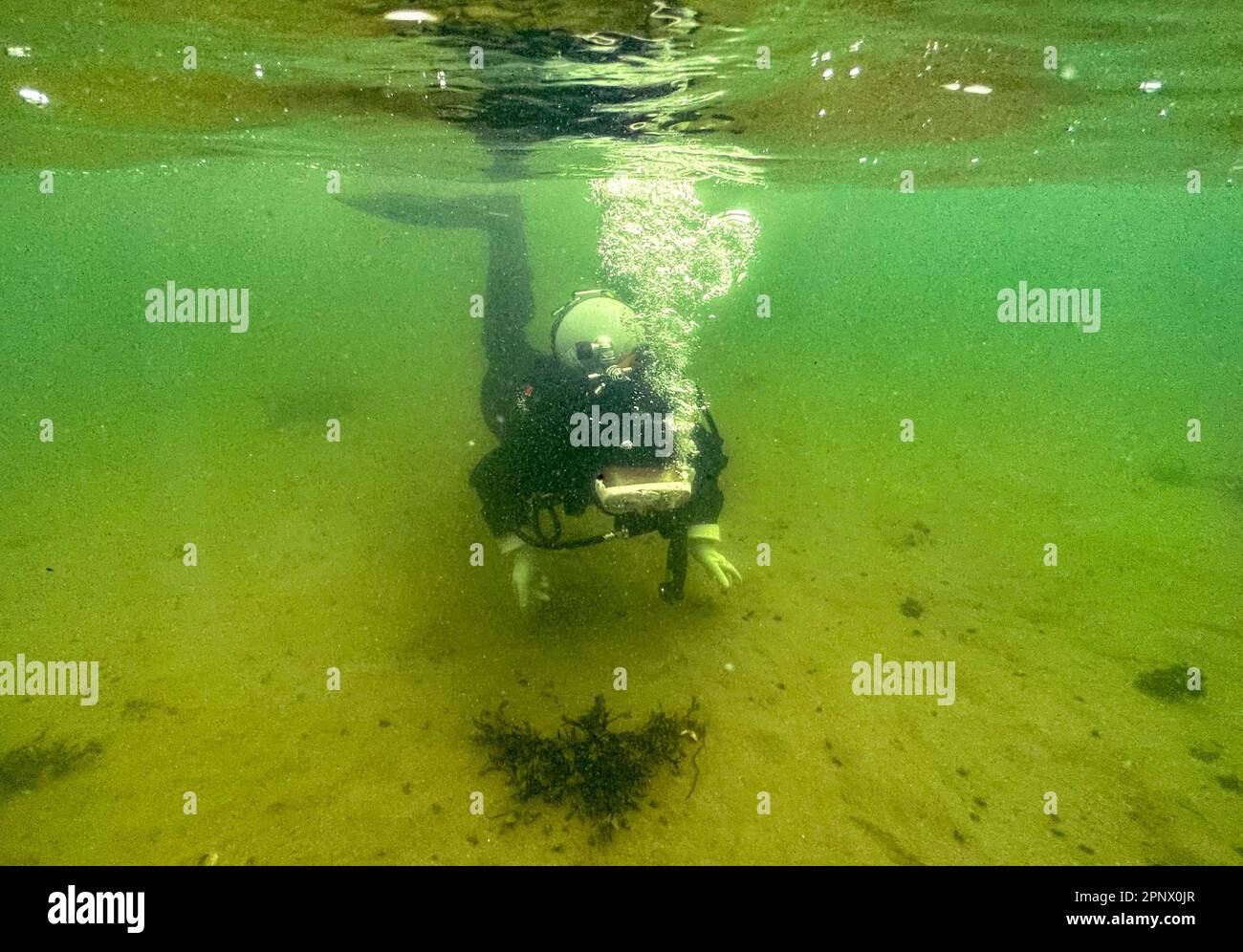 Kiel, Germany. 13th Apr, 2023. Australian marine biologist Angela ...