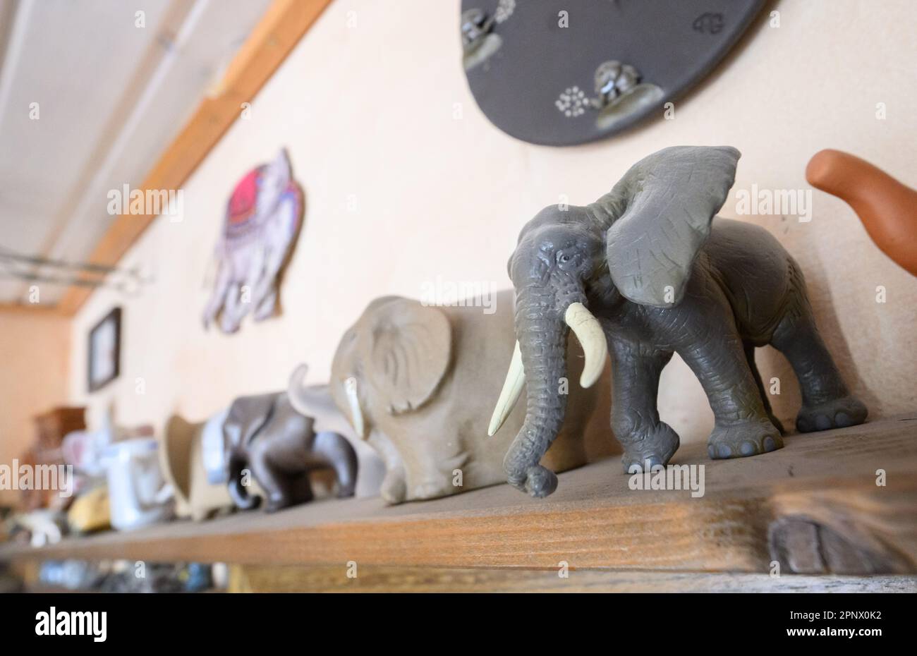 Hanover, Germany. 20th Apr, 2023. Elephants stand in the house of the ...