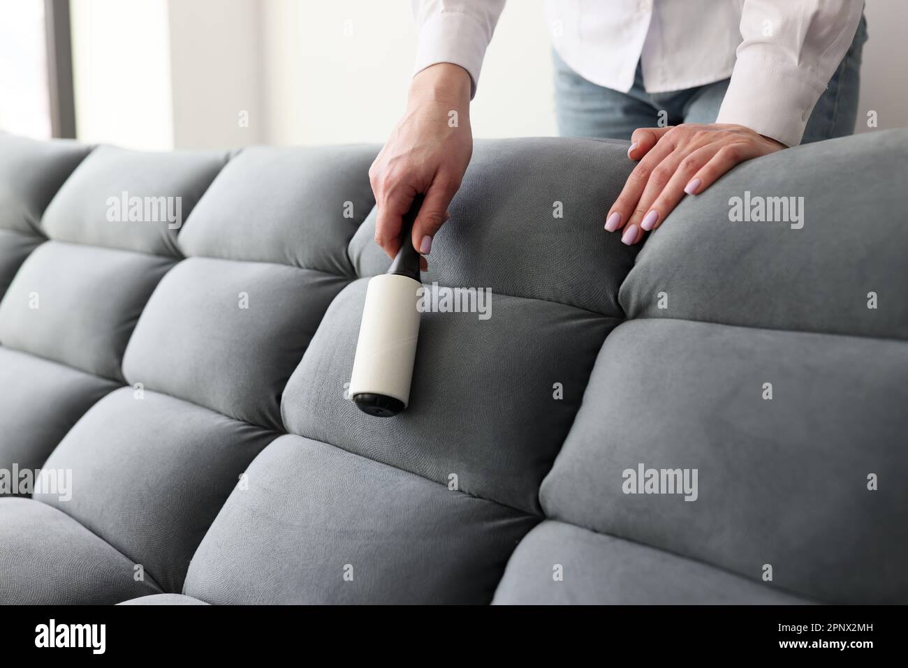 Woman lint roller cat hi-res stock photography and images - Alamy