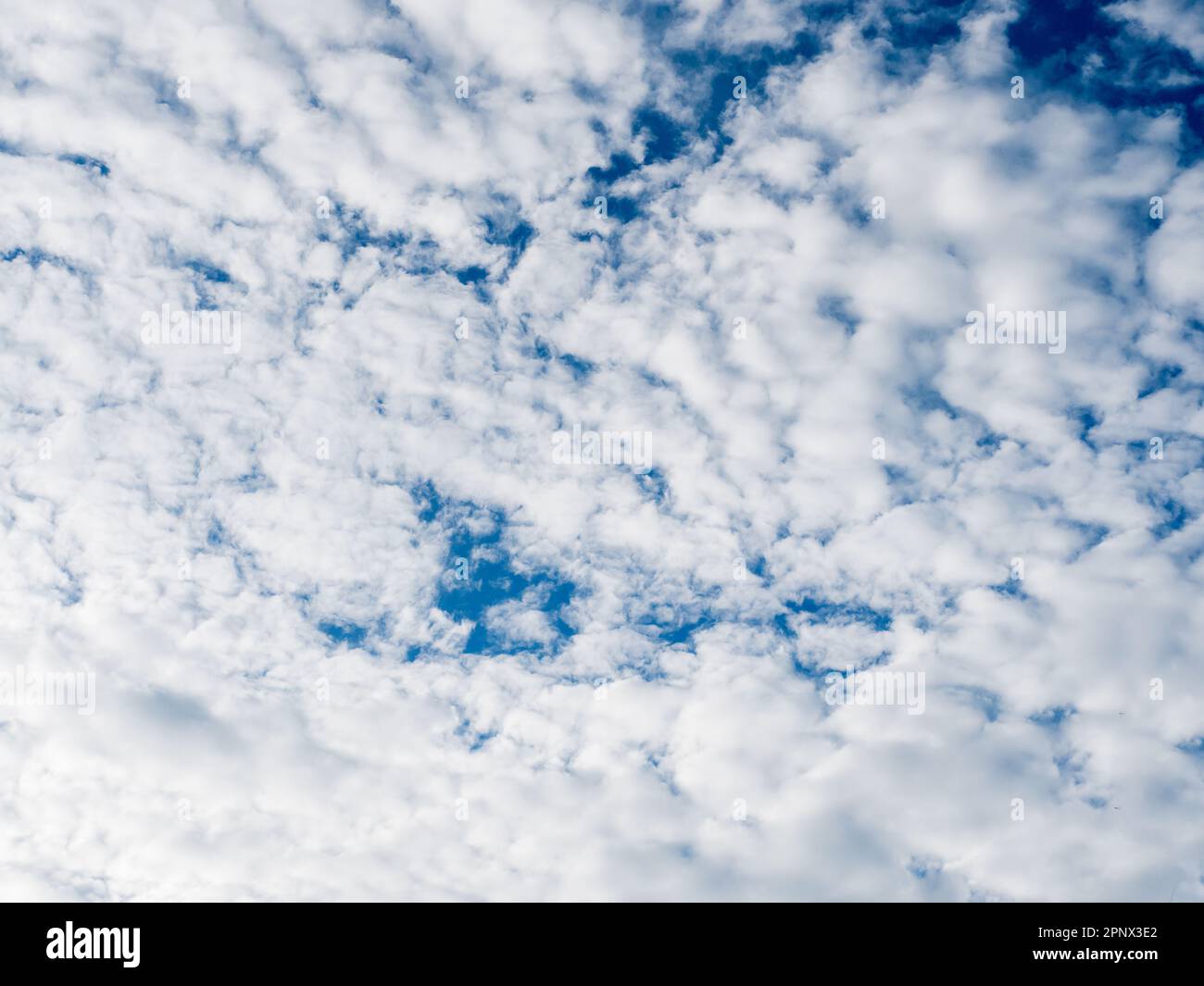 Clouds look like hi-res stock photography and images - Alamy