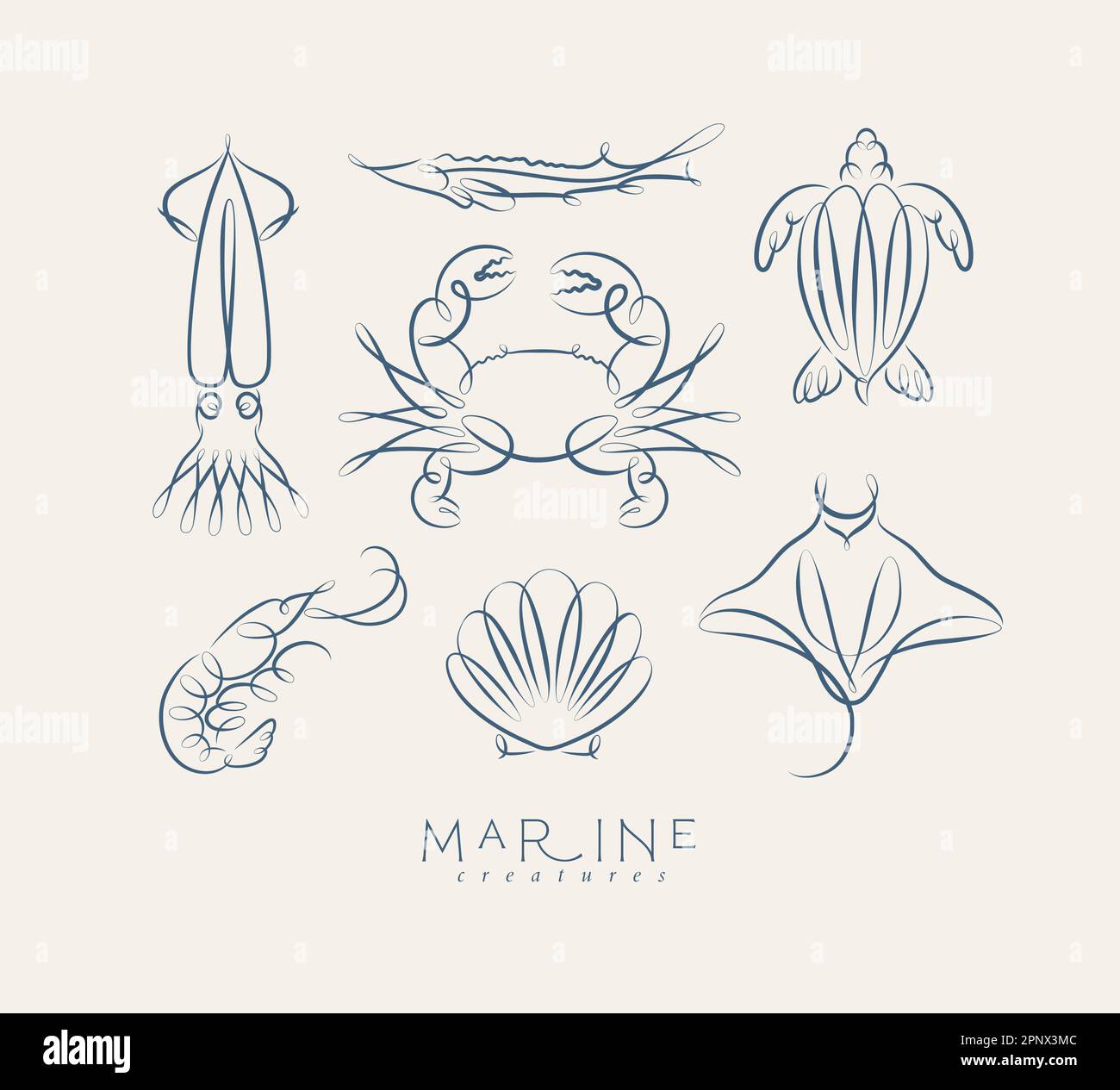 Filigree swirl sea and ocean creatures squid, fish, crab, turtle ...