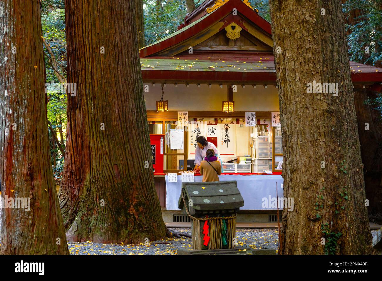 Miyazaki, Japan - Nov 24 2022: Takachiho Shrine founded over 1,900 year ...