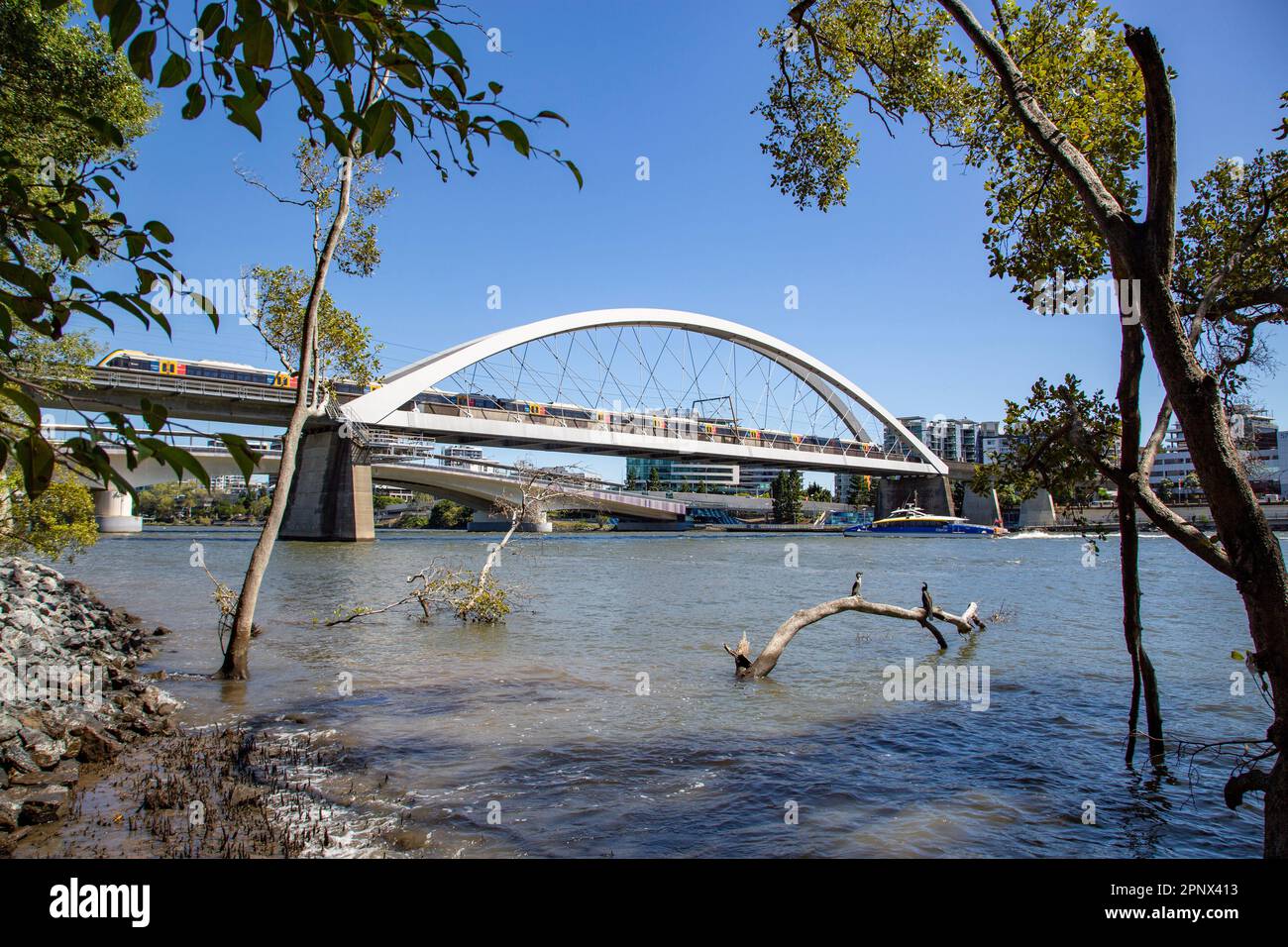 The Merivale Bridge is a double track railway bridge over the Brisbane ...
