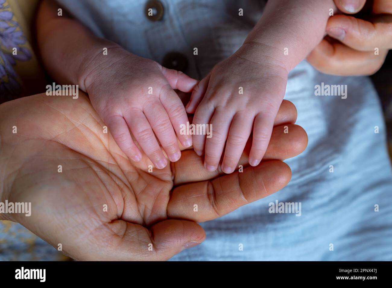 Newborn baby's hand in woman's hand Stock Photo - Alamy